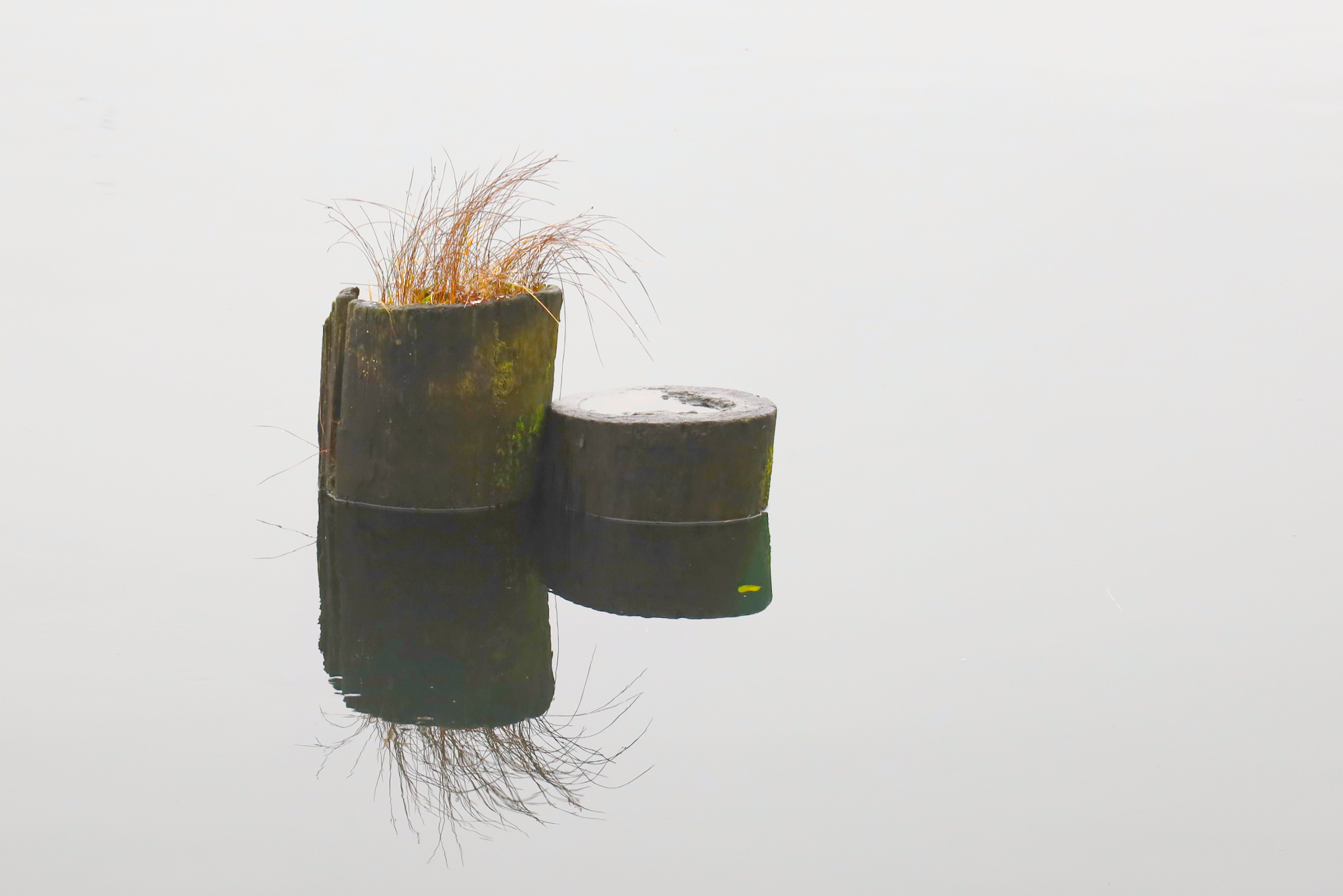 FotoRoland – Nature Photography by Roland Semjanovs